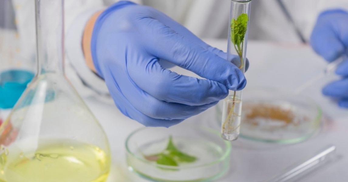 Traceless Materials: Leading the Way in Biodegradable and Sustainable ...