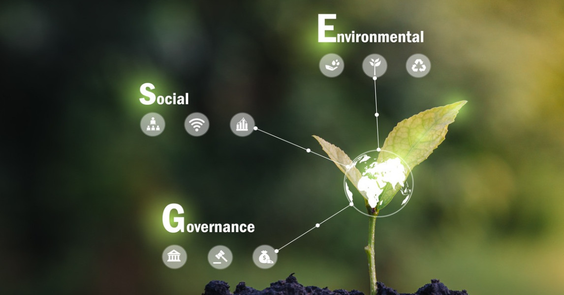 Sweep: Carbon Accounting & ESG Reporting Software | Net Zero Compare