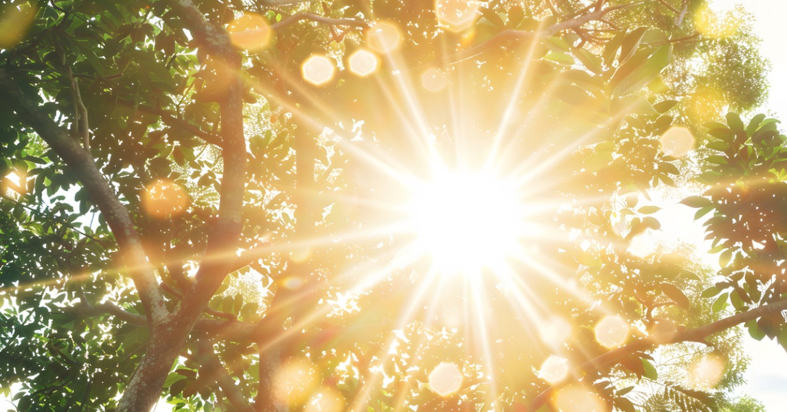 Lightyear Layer: Leading the Future of Solar-Powered Mobility Solutions ...